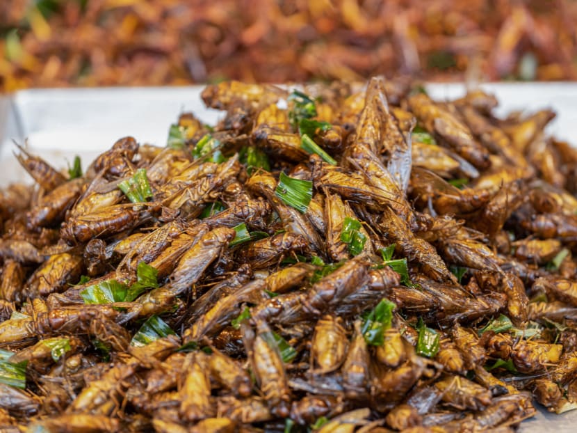Grasshoppers and superworms among 16 insect species approved as food in ...