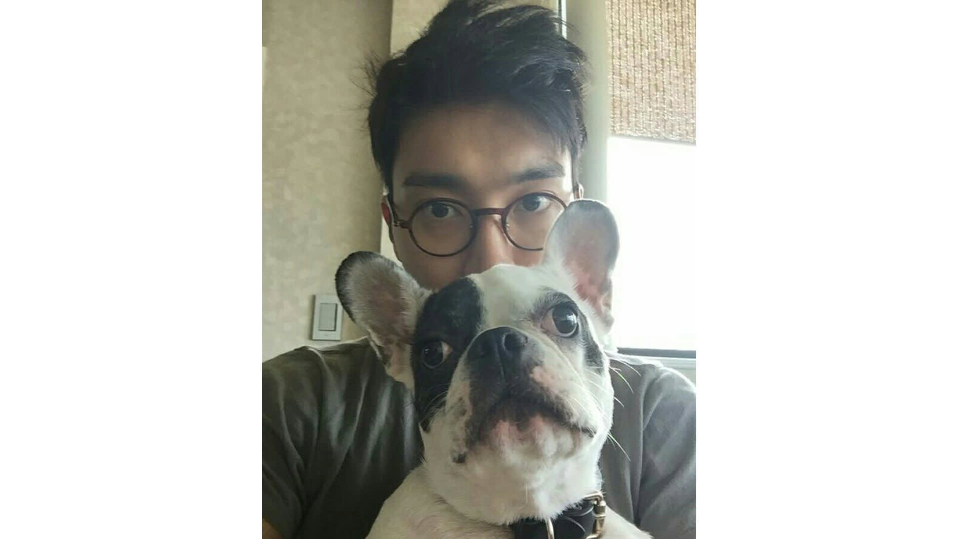 People Are Turning Against Choi Siwon After His Dog Causes Death Of ...