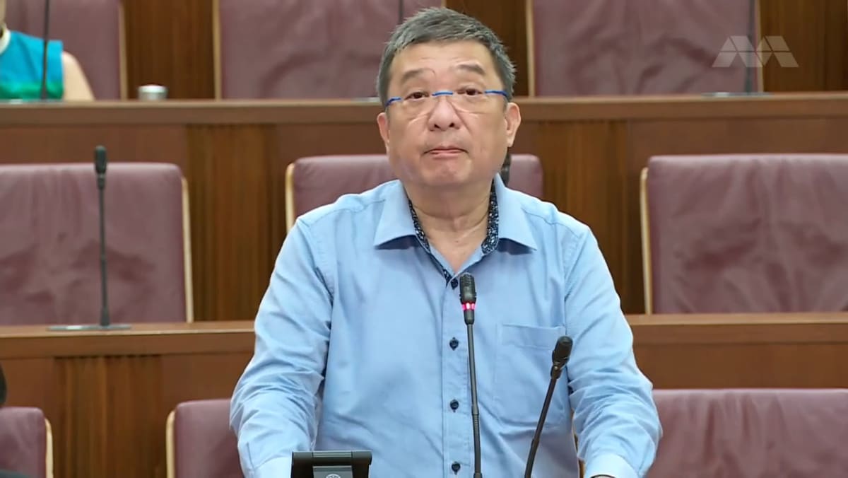 Sitoh Yih Pin on Goods and Services Tax (Amendment) Bill - CNA