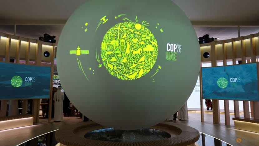 What happens at a COP climate summit? - CNA