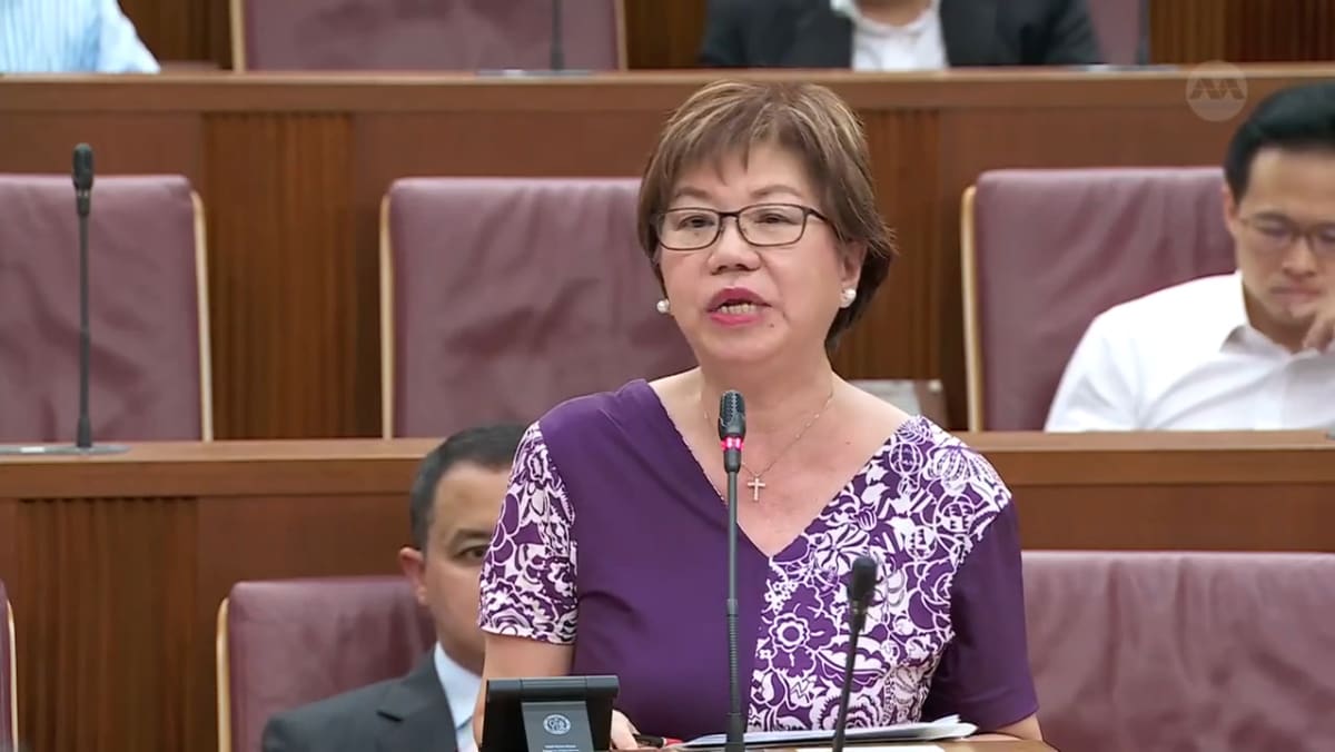 Committee of Supply 2023 debate, Day 6: Denise Phua on supporting ...