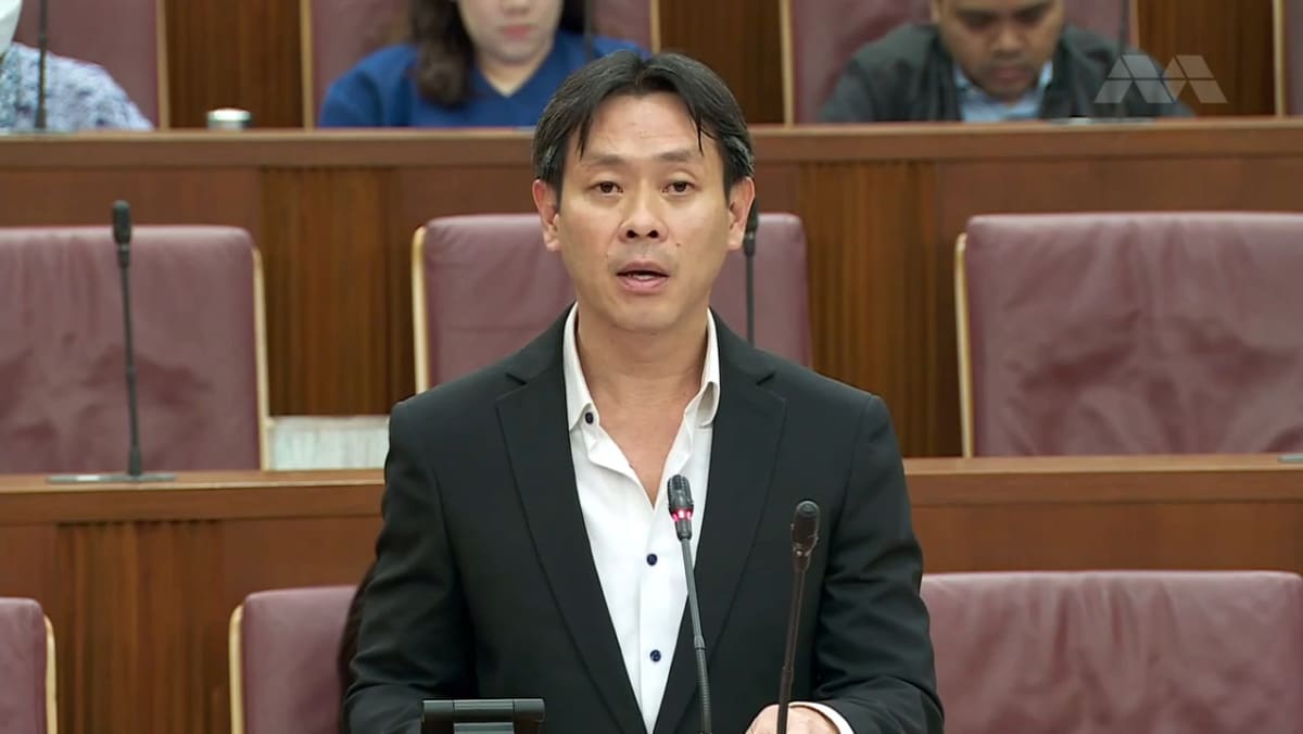 Louis Ng on Accountancy Functions (Consolidation) Bill - CNA