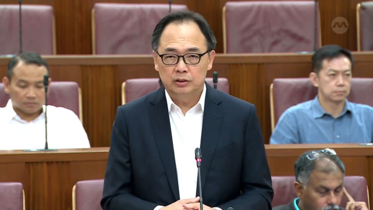 Budget 2024 debate: Liang Eng Hwa on providing for Singaporeans in the ...