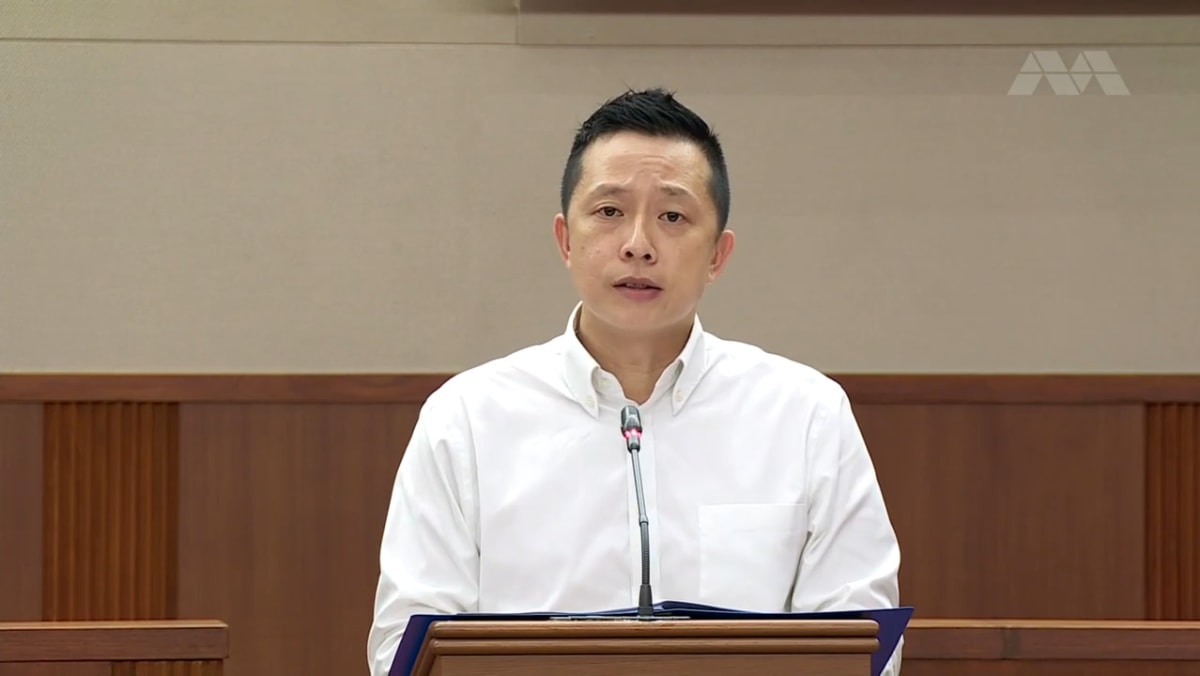 Yip Hon Weng on State Lands Protection Bill - CNA