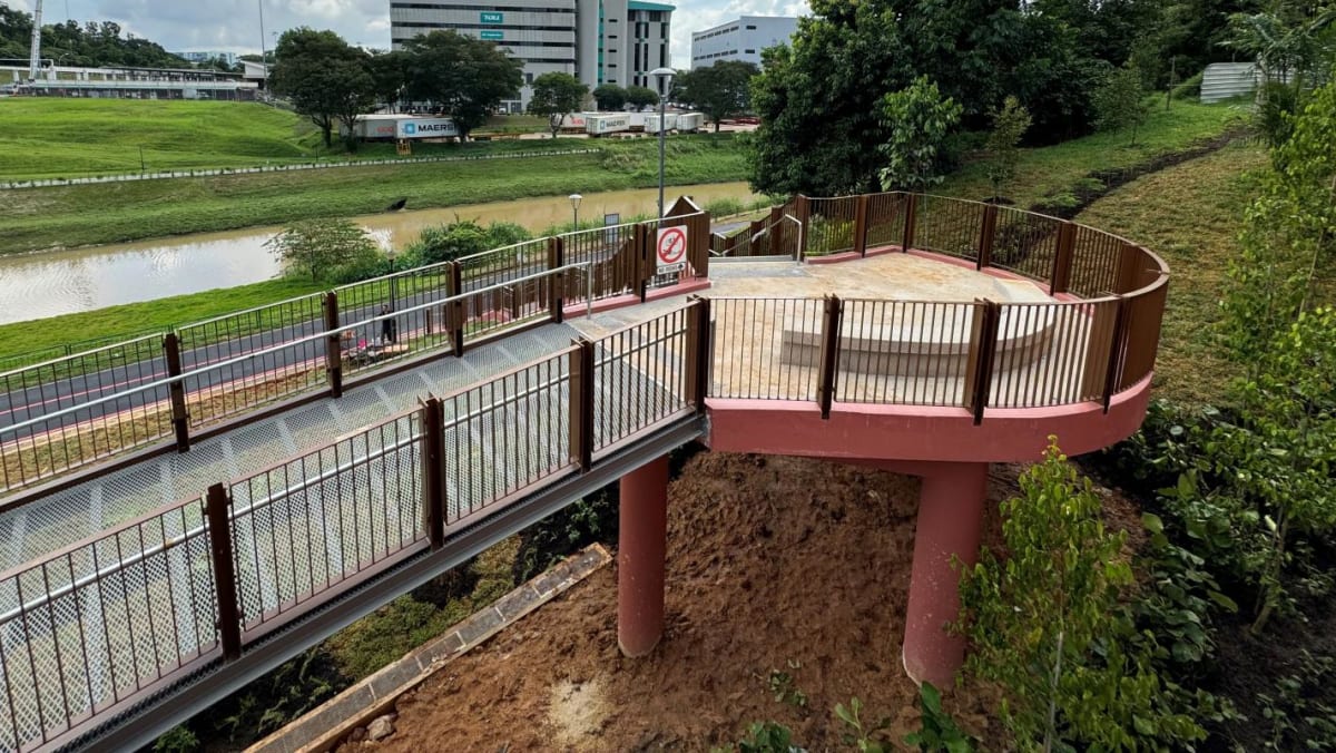 Ulu Pandan park connector fully reopens after Clementi landslide ...