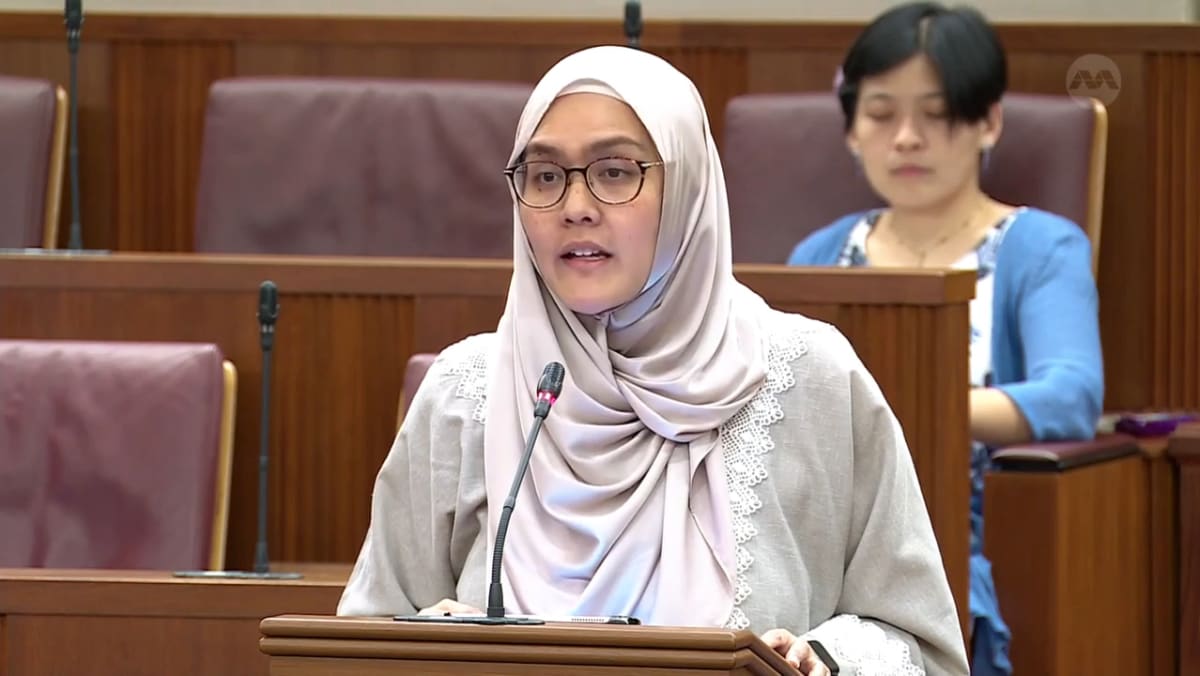 Shahira Abdullah on supporting healthcare - CNA