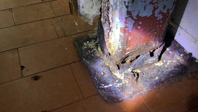 Licence holder of food manufacturing company fined S$4,000 over 'severe ...