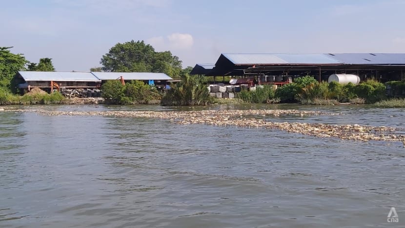 Meet the Interceptor, a garbage collection vessel helping to clean up ...