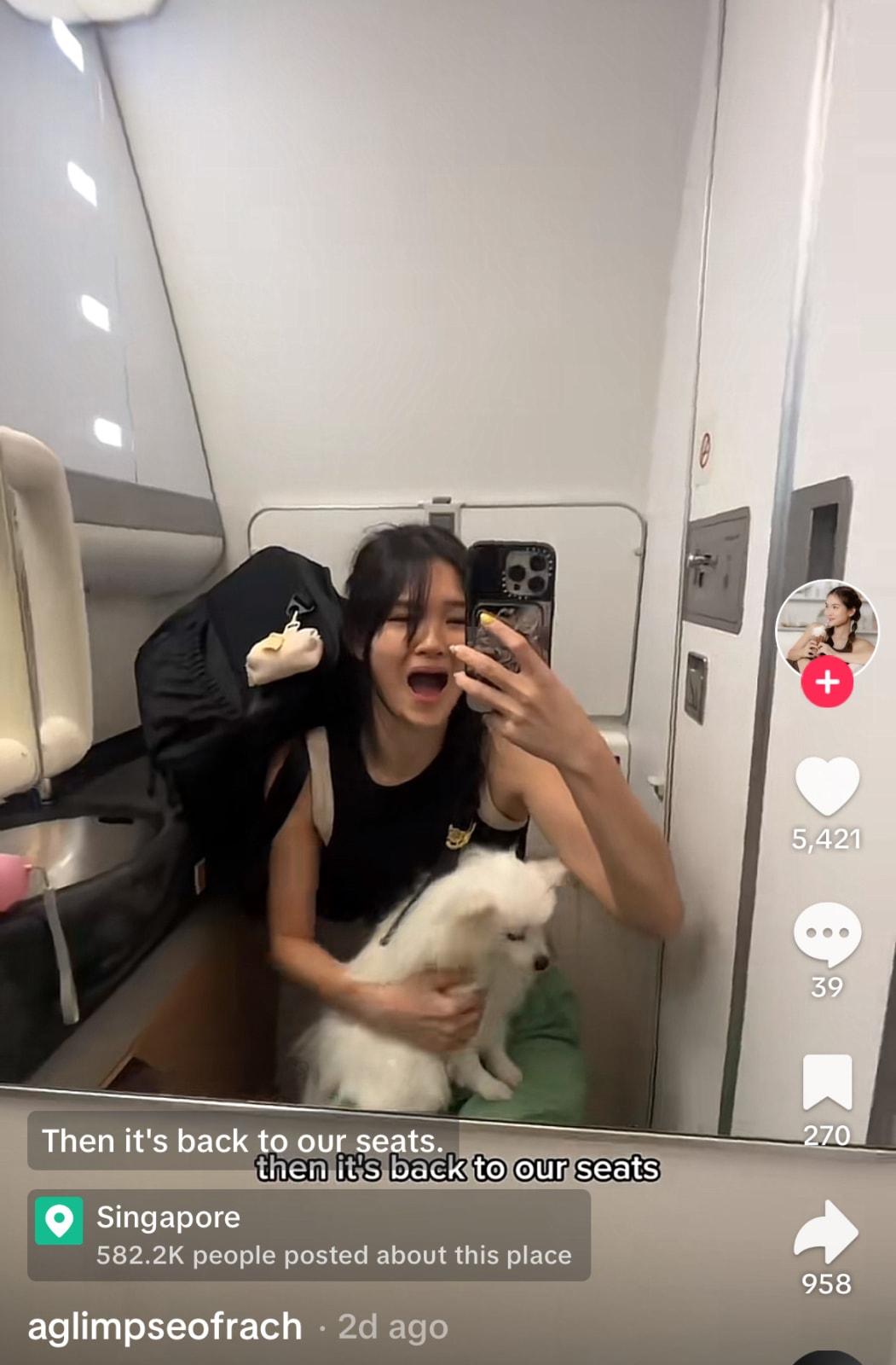 Ex Mediacorp Child Actress Travels With Pet Dog On Swiss Air Flight For ...