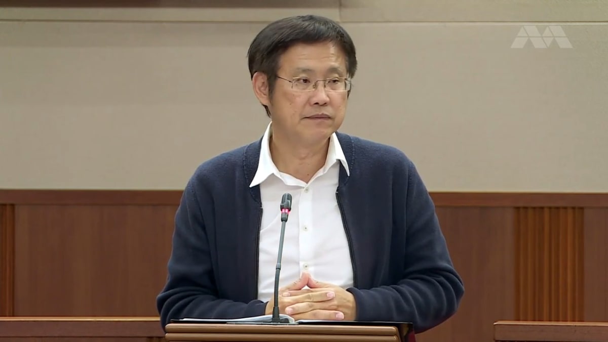 Gan Thiam Poh on Online Safety (Miscellaneous Amendments) Bill - CNA