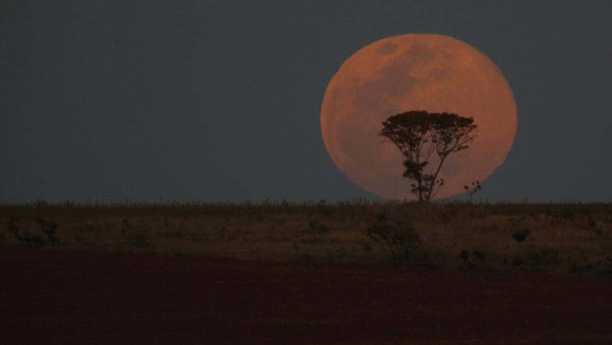 Supermoon seen around the world - TODAY