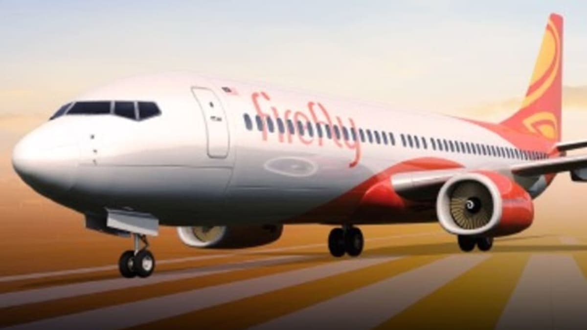 Firefly Airlines akan mulakan penerbangan ke S'pura mulai Jun - BERITA ...