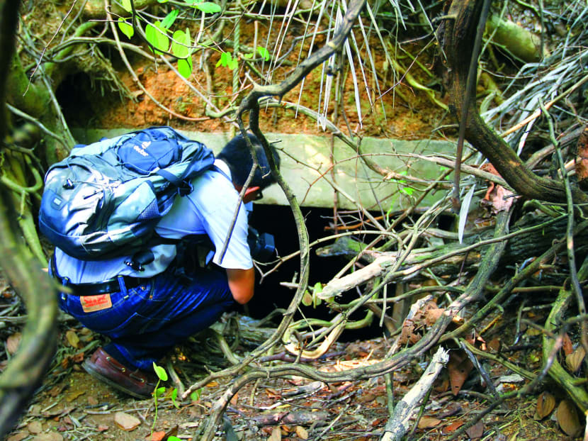 Abandoned war site at Marsiling added to list of NHB guided tours - TODAY