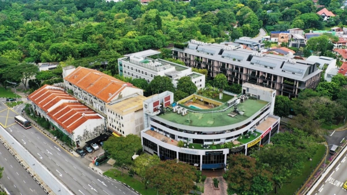 Serene Centre in Bukit Timah sold for S$105 million, to undergo year ...