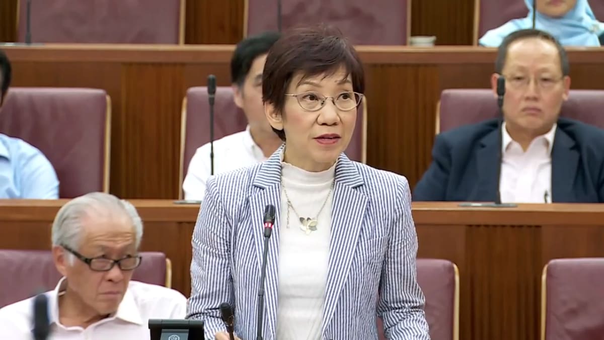 Grace Fu on carbon credits issued by Verra and Gold Standard - CNA