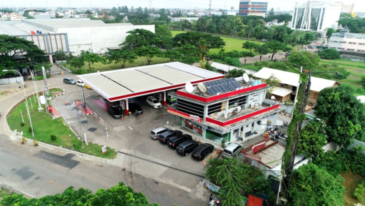 Diversifying Power - TML Energy - CNA