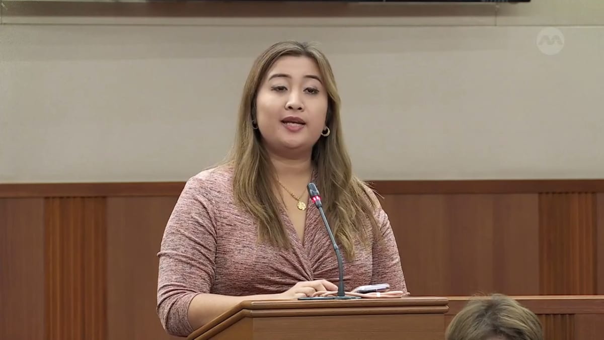 Committee of Supply 2023 debate, Day 5: Nadia Ahmad Samdin on Silver ...