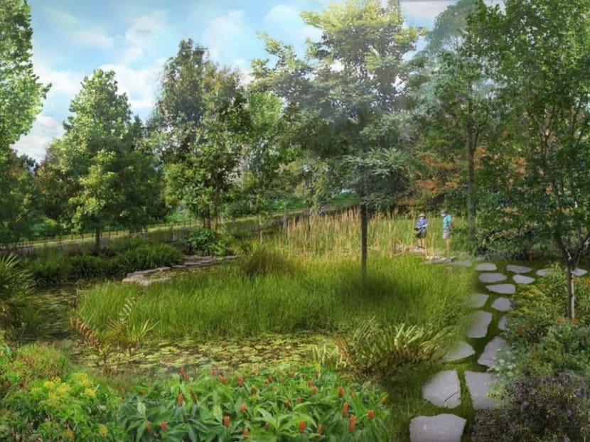 NParks to develop Singapore’s longest cross-island trail and 3 new ...