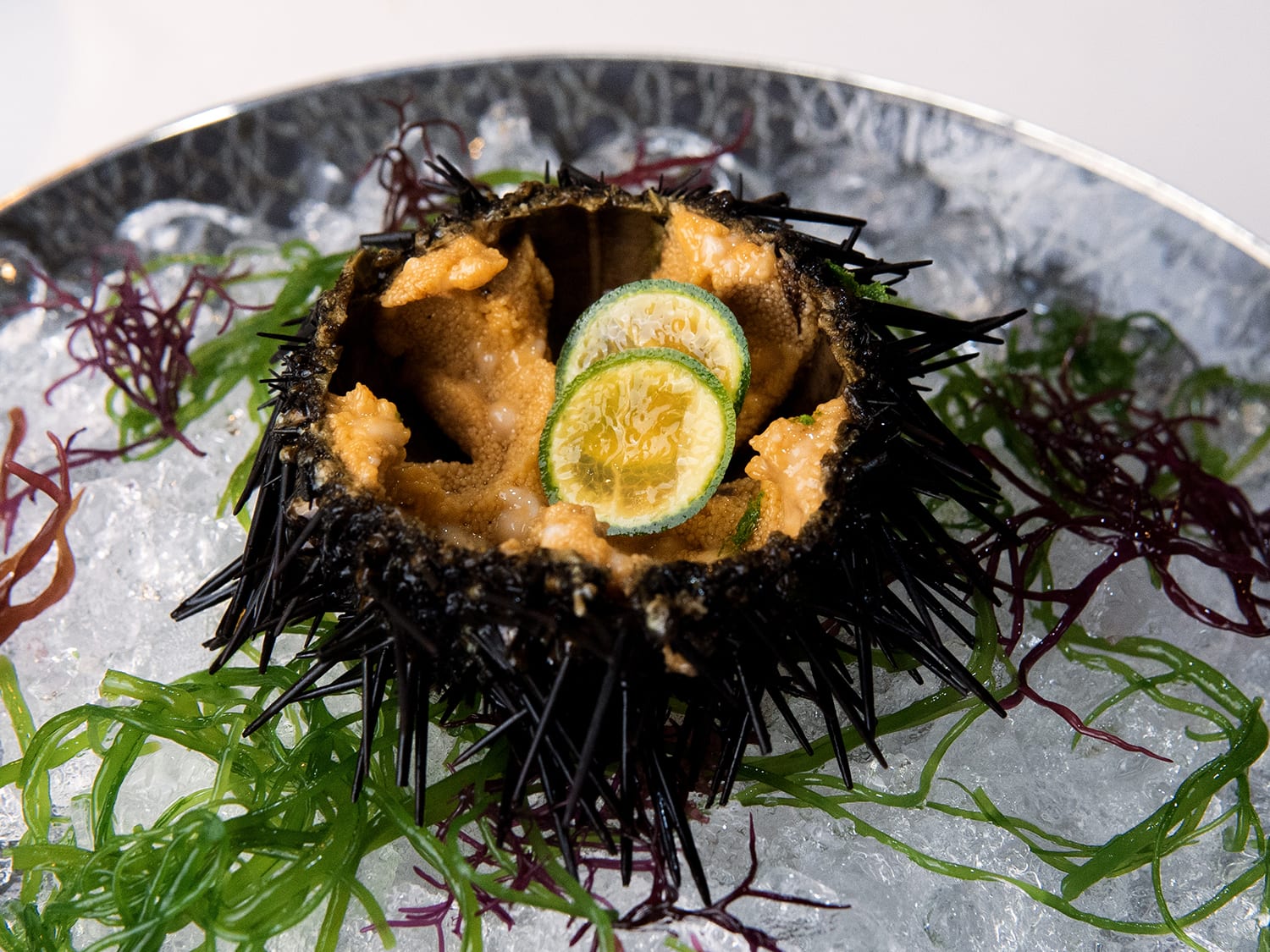 Meet Darren Chin, the one-Michelin-starred chef based in Kuala Lumpur ...