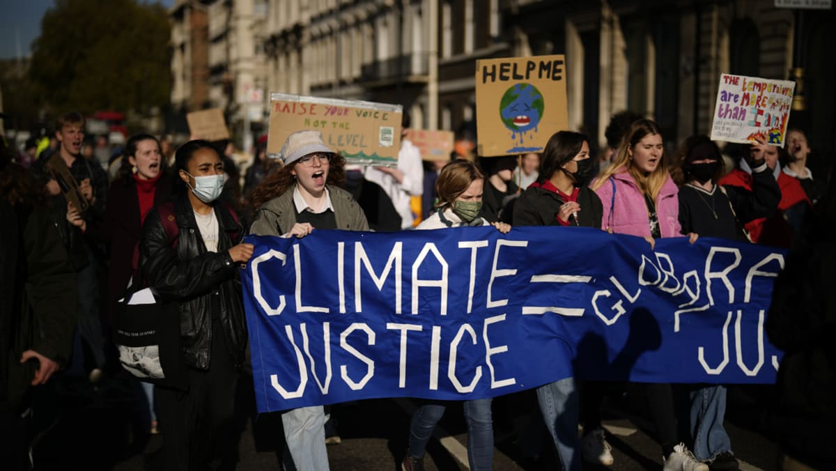 UK election: Environmental issues taking a backseat on campaign trail ...