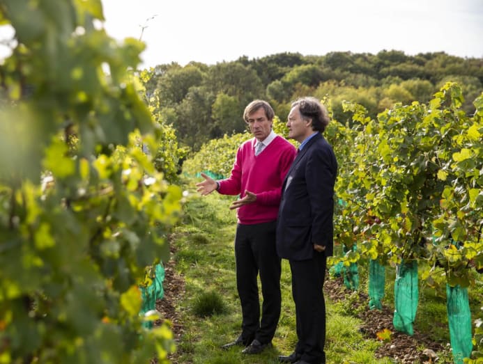 5 winery joint ventures that you should know - CNA Luxury