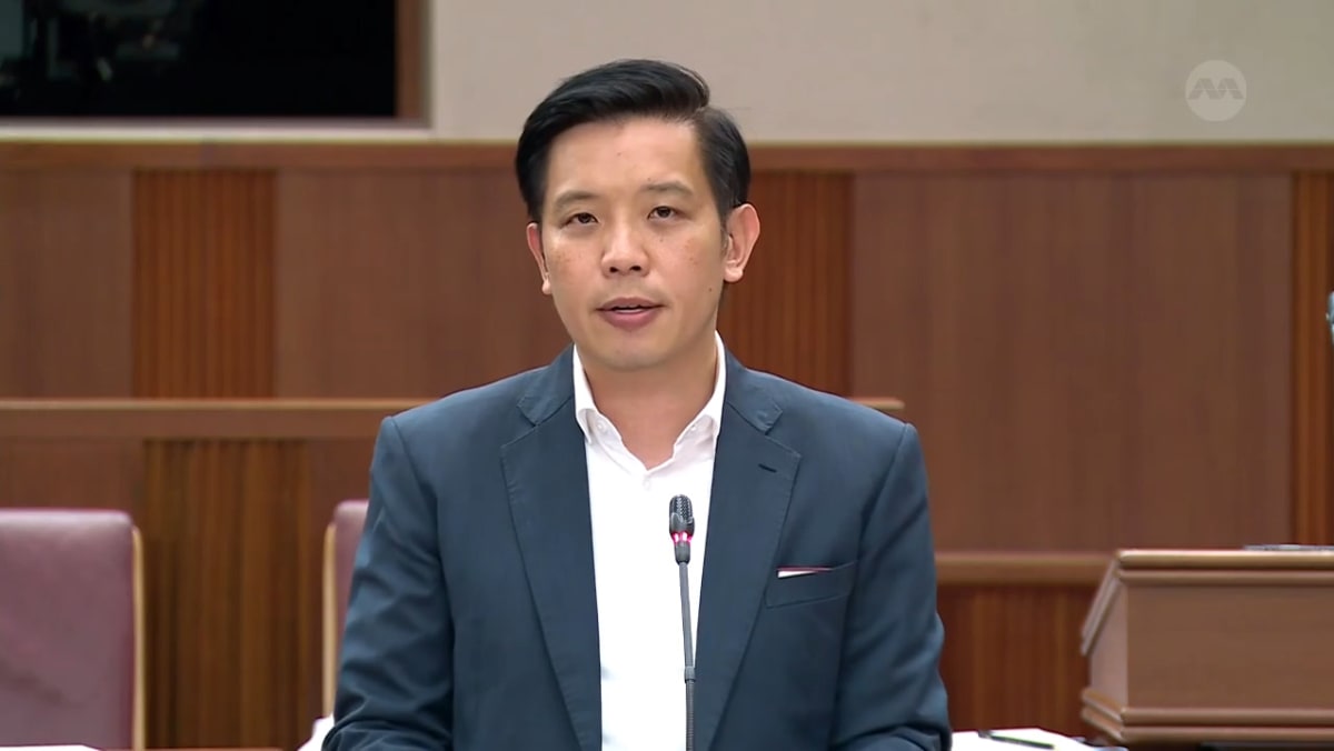Committee of Supply 2024 debate, Day 3: Alvin Tan on extending ...