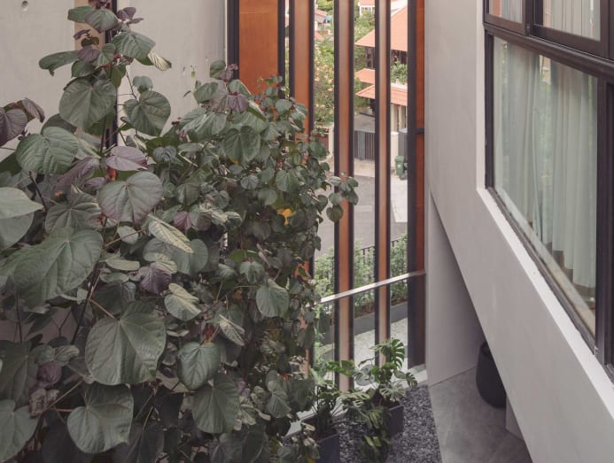 In Singapore, this father built a family home for his three daughters ...