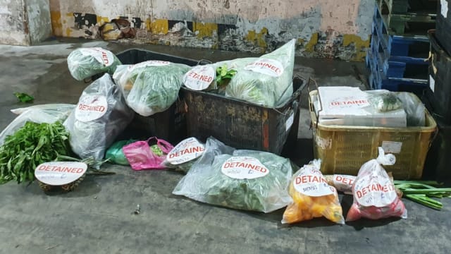 非法从马国进口新鲜蔬果 进口商被罚款7000元 - 8world