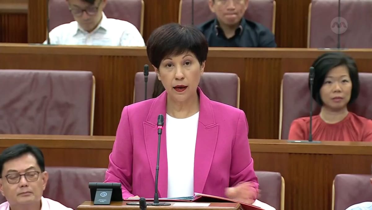 Indranee Rajah on Supply Bill - CNA