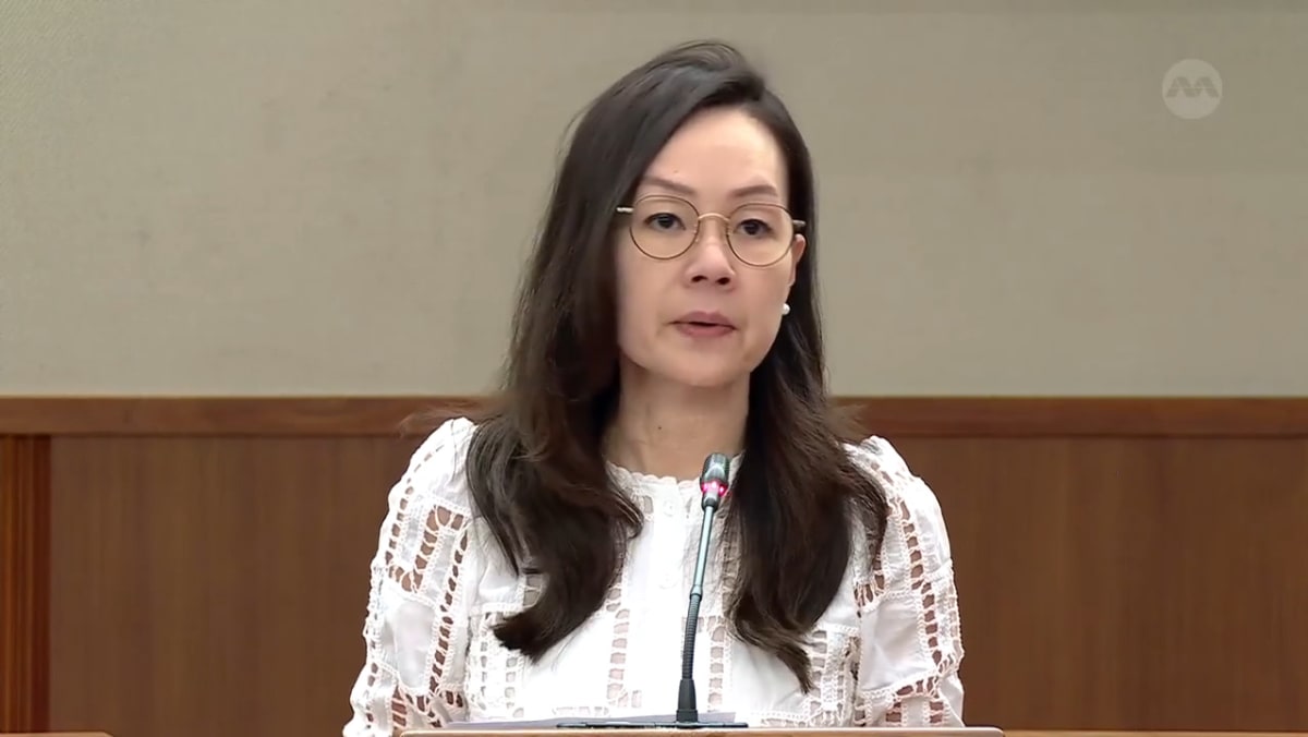 Committee of Supply 2024 debate, Day 2: Rachel Ong on importance of ...