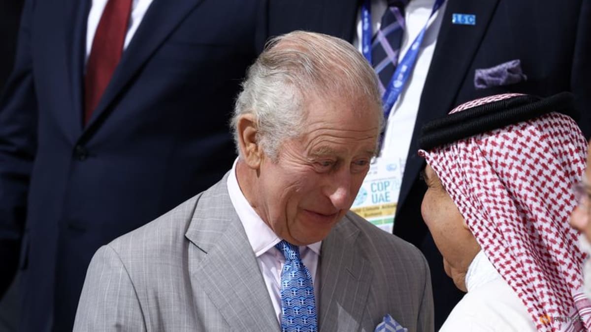 Britain's King Charles urges rapid environmental repair in COP28 speech ...