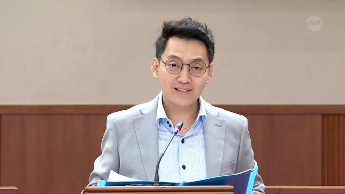 Don Wee on Resource Sustainability (Amendment) Bill - CNA