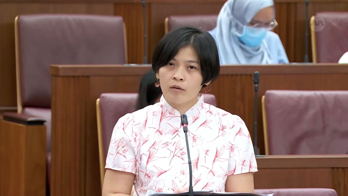 Committee of Supply 2023 debate, Day 6: Tan Yia Swam on building ...