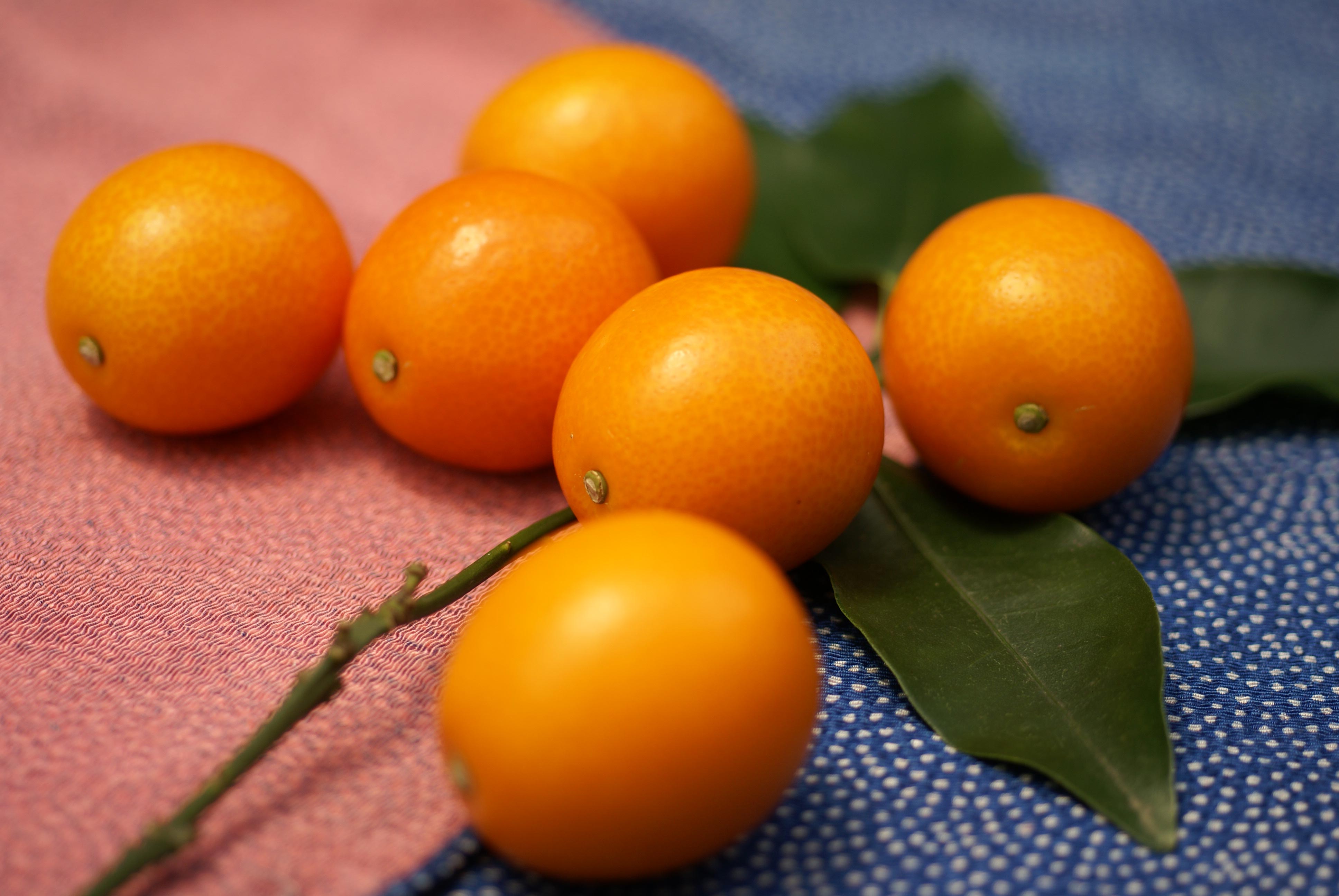 Hand-Massaged Melons, Kawaii Kumquats & Other Japanese Fruits We Wait ...