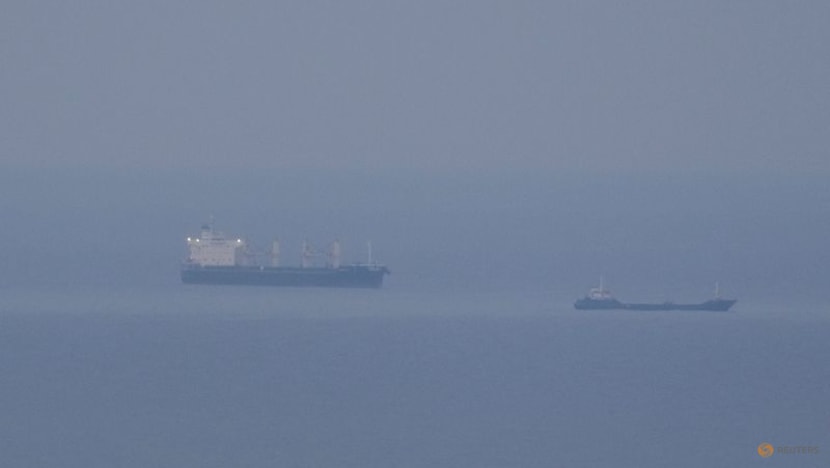 More grain ships leave Ukraine ports despite Russian suspension - CNA
