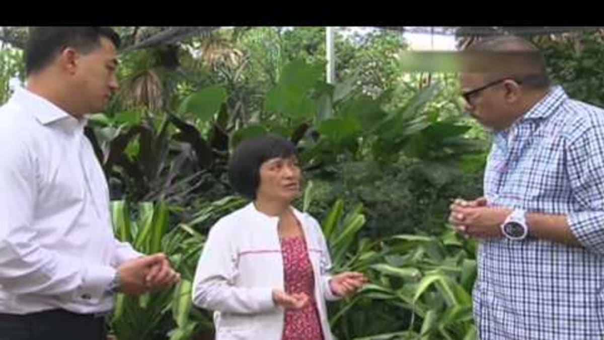 VoicesTODAY asks: Floods - a natural or man-made problem? - TODAY