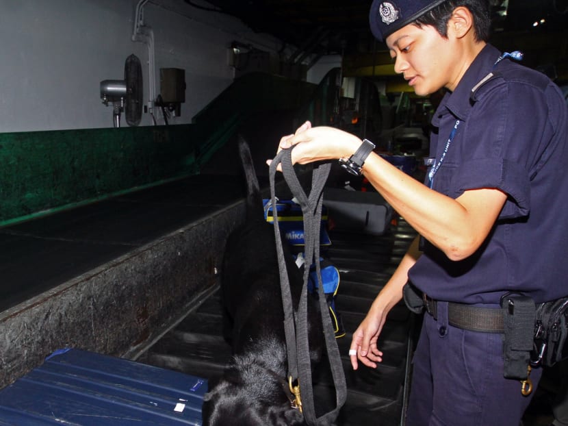 Changi Airport raises security alert - TODAY