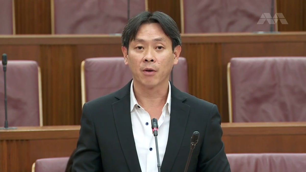 Louis Ng on Goods and Services Tax (Amendment) Bill - CNA