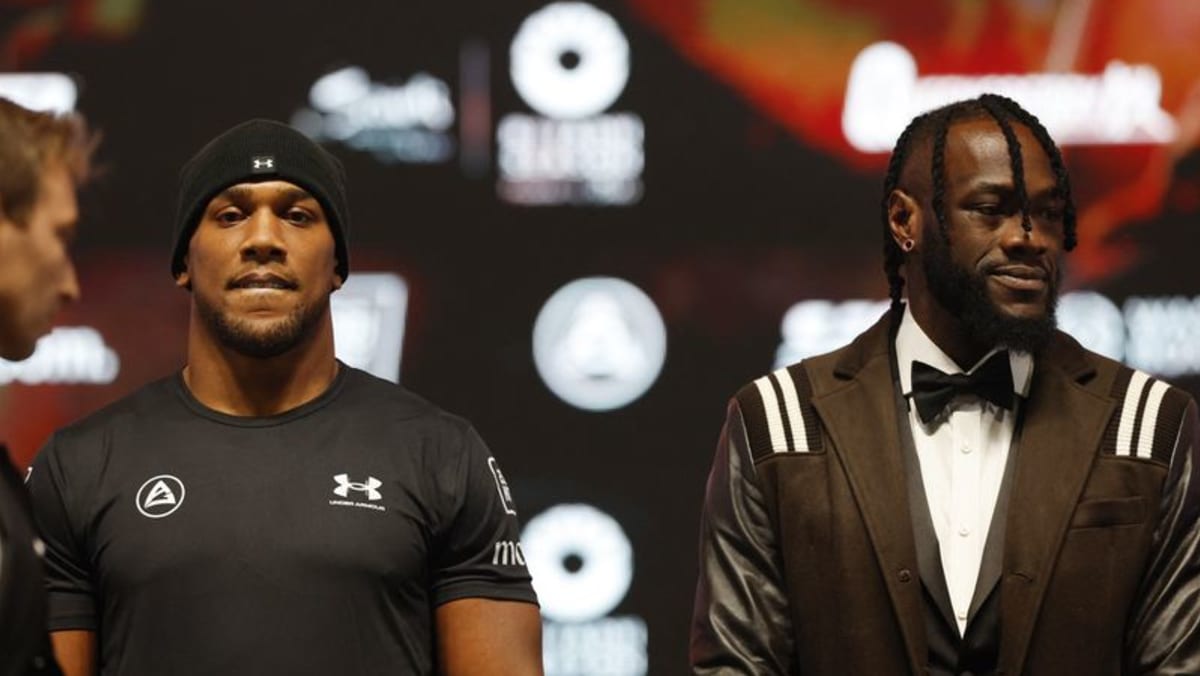 Wilder says Joshua's promoters don't want to lose their 'cash cow' - CNA
