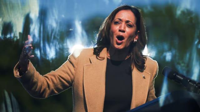 近百名美国企业高管发联名信件 支持哈里斯当总统 - 8world