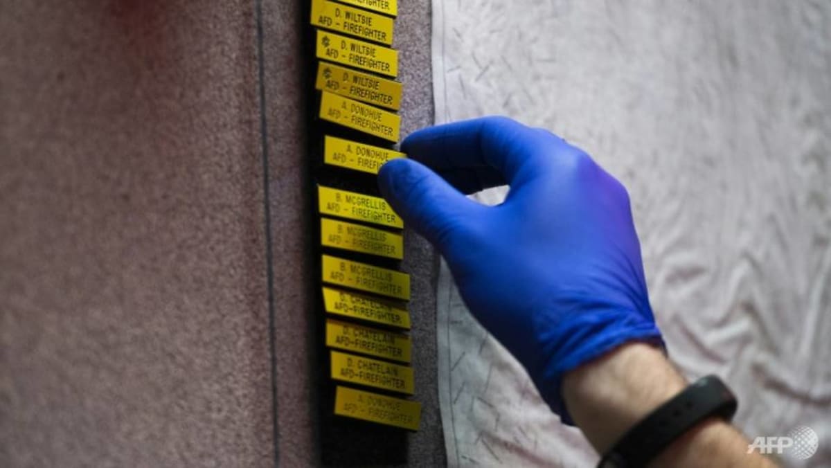 Thieves take US$1 million worth of gloves meant for Florida hospitals - CNA