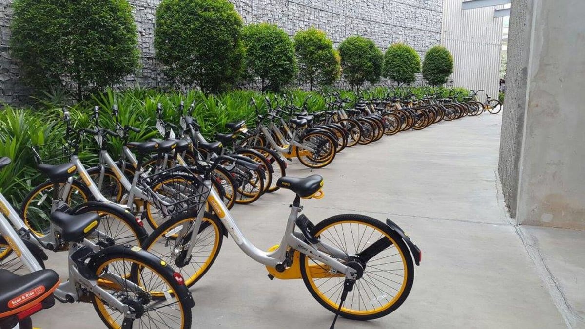 The way forward for the bike-sharing industry - TODAY