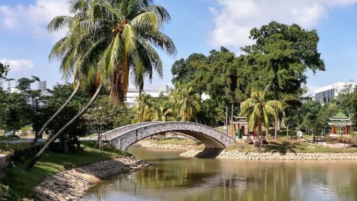 Marsiling Park opens with new mangrove habitat, enhanced amenities for ...