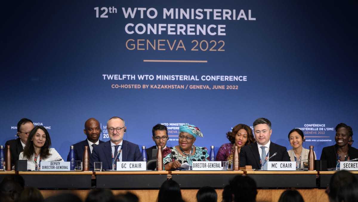 WTO strikes global trade deals deep into overtime - CNA