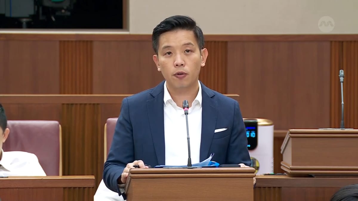 Alvin Tan on support for managers of Singapore companies - CNA