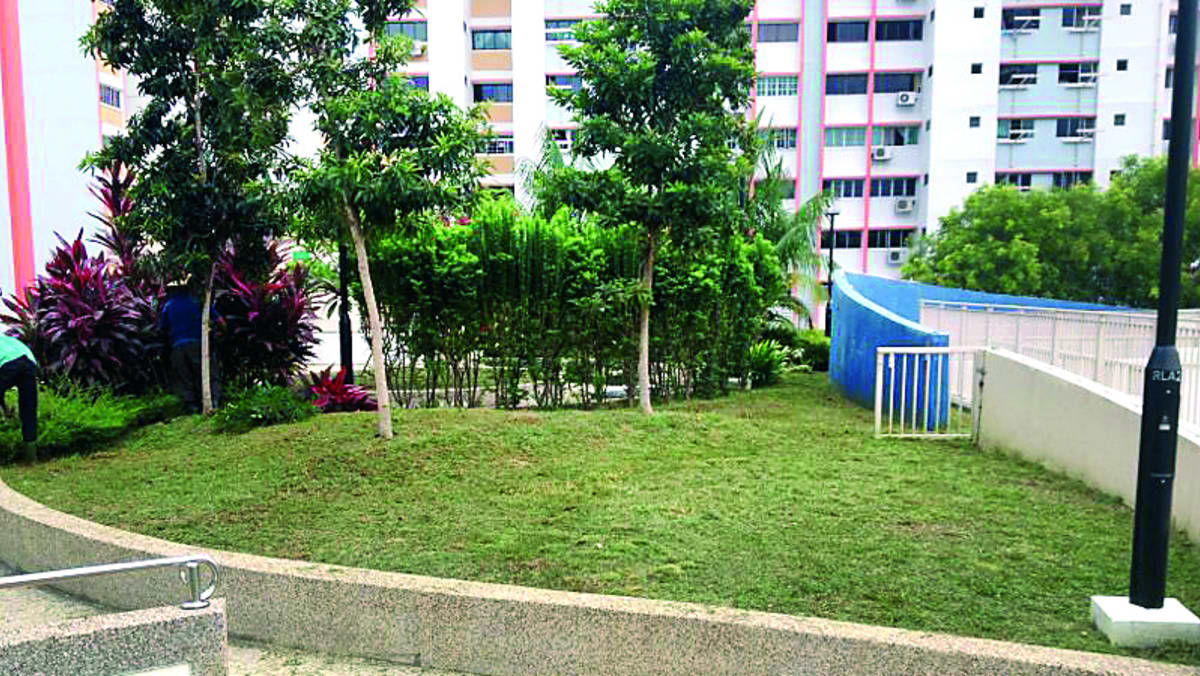 Town council to step up efforts to keep landscape attractive - TODAY
