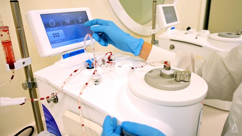 Locked vaults, daily temperature checks: An inside look at a cord blood ...