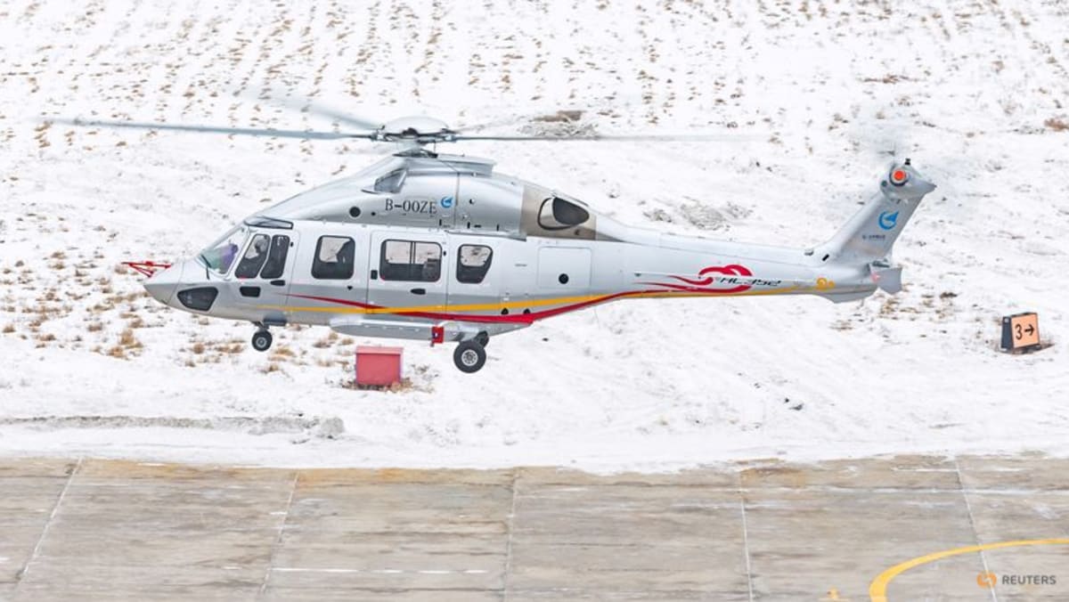 China OKs jointly built civil helicopter but no nod yet for Airbus ...