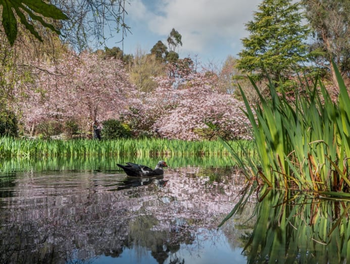 4 reasons why a springtime visit to New Zealand should be on your ...