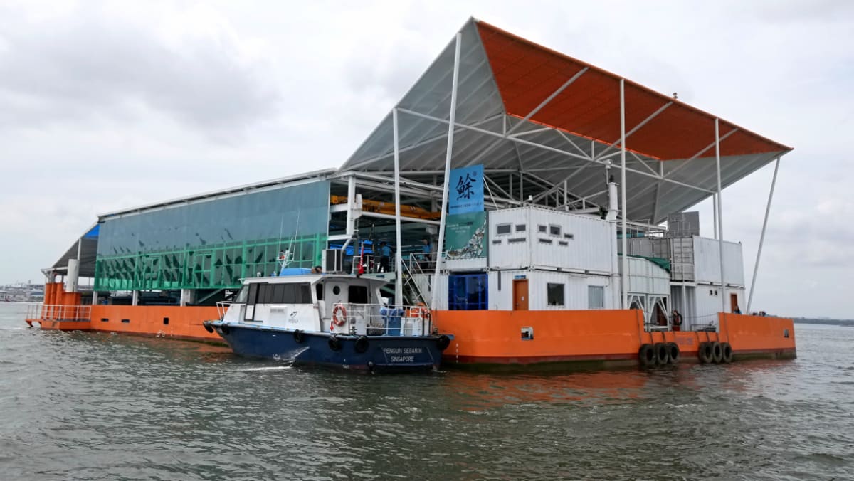 New floating fish farm off Changi aims to produce more seafood than ...